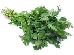 Buy Coriander - Small bunch Online | Jays Fresh Produce