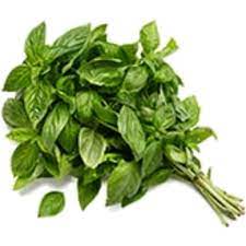 Buy Basil - Bunch Online | Jays Fresh Produce